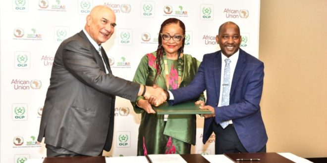 La Commission de l’Union africaine, AUDA-NEPAD et le Groupe OCP : Pour ...