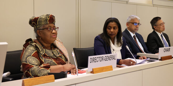 DG Okonjo-Iweala calls on members to build on MC12 outcomes to advance ...